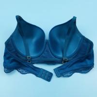 China New Arrival Wholesale 46-52C Women Bra Underwire Push up Gathering Comfortable High Quality Ladies Bra for sale