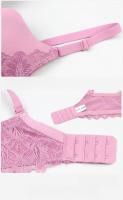 China Good Quality Bra Women Underwear New Arrival Lace Ladies Bra With Bow Beautiful Colors Bra for Ladies for sale