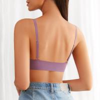 China Women Sporty Seamless Bra Front Closure S-XL Wholesale High Quality Solid Bra for Women for sale