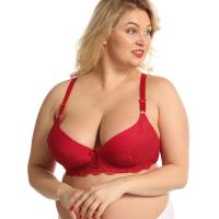 China E Cup New Arrival Plus Size 40-50E Women Lace Bra Beautiful Back Comfortable Bra Women Plus Size for sale