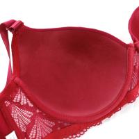 China E Cup New Arrival Plus Size 40-50E Women Lace Bra Beautiful Back Comfortable Bra Women Plus Size for sale
