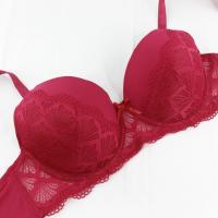 China E Cup New Arrival Plus Size 40-50E Women Lace Bra Beautiful Back Comfortable Bra Women Plus Size for sale