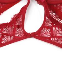 China E Cup New Arrival Plus Size 40-50E Women Lace Bra Beautiful Back Comfortable Bra Women Plus Size for sale