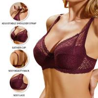 China Wholesale Women Bra Lace Decoration Sexy Bras Adjustable Straps High Quality for Female C/D Cup Bras for sale