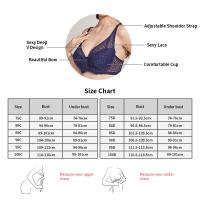 China Wholesale Women Bra Lace Decoration Sexy Bras Adjustable Straps High Quality for Female C/D Cup Bras for sale