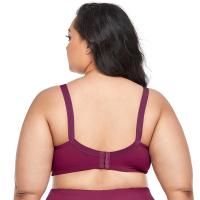 China Pushing up Bra Smoothing Touch Big Size Bra Available in C/D/E/F Wholesale Provided Women Bra for sale