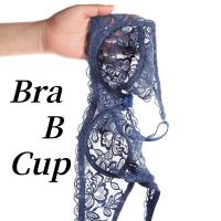 China Wholesale Women Lace Bra B Cup High Quality 2025 New Design Welcome Inquiry Online on Any Time Lace Women Underwire Bra for sale