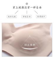 China Seamless Bra Women Wholesale Ready to Ship Lady's Bralette Wire Free Comfortable A/B Cup Seamless Sporty Bra New for Women for sale