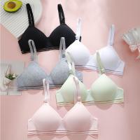 China Female High Quality AB Cup Bra Small Breast Underwear Sports Thin Small Quality Wholesale Bra for Women for sale