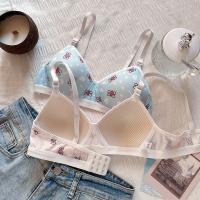 China Sweet Cartoon Bear Triangle Cup Underwear for Women With Small Breast Gathered High School Students for Small Breast Slim Girls for sale