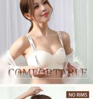 China High Quality Women Push up Bra Wholesale Factory Direct Sell Solid Colors Ladies Bra 32-38AB Cup for sale