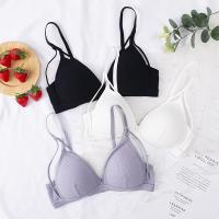 China New Design Wholesale Bra for Women Women's Underwear Bulk Bra Women Explosive Models for sale