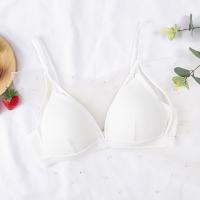 China New Design Wholesale Bra for Women Women's Underwear Bulk Bra Women Explosive Models for sale