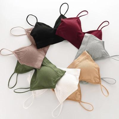 China Strap Wrapped Ladies Wear Sexy Beautiful Back Small Chest Short Vest to Prevent Exposure With Chest Pad Tube Top Sports Bra for sale