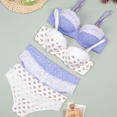 China Women Lingerie Set Printed Flowers S-XL America Size High Quality New Come Lingerie Wholesale Set Matching Set for Women for sale