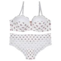 China Women Lingerie Set Printed Flowers S-XL America Size High Quality New Come Lingerie Wholesale Set Matching Set for Women for sale