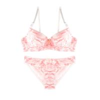 China Women Underwear Lingerie Set High Quality Hot Selling Printing Underwire Panty and Bra Set for Ladies for sale