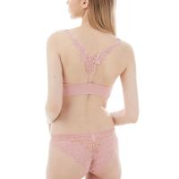 China Women Underwear Set Lace Bra Wholesale Ladies Set Women Lingerie Sexy 38B-44B Cup Seamless Sexy Lace Underwear Set for sale