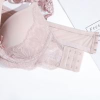 China Women Underwear Set Lace Bra Wholesale Ladies Set Women Lingerie Sexy 38B-44B Cup Seamless Sexy Lace Underwear Set for sale