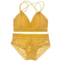 China Best Quality Sexy Fashion Women Lace Panties Bra Set Low MOQ Underwear Wholesale Sexy Lace Bra Set Women for sale