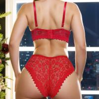 China Bra and Underwear Set Rhinestone Lace Ladies Sexy Bra Underwear Set Wholesale Panty Bra High Quality Sexy Set for Women for sale