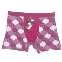 China Men Boxers Briefs Wholesale Fashionable New Arrival 12pcs/pack Men Briefs 4XL 5XL 6XL Mix Sizes Briefs for Men for sale