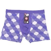 China Men Boxers Briefs Wholesale Fashionable New Arrival 12pcs/pack Men Briefs 4XL 5XL 6XL Mix Sizes Briefs for Men for sale