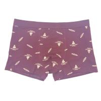 China Wholesale High Quality Men's Boxer Briefs 95% Cotton Printed Underwear for Men for sale