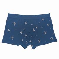 China Mens Letter Printed Boxer Shorts Plus Size Men's Boxer Brief for sale