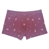 China Mens Letter Printed Boxer Shorts Plus Size Men's Boxer Brief for sale