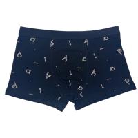 China Mens Letter Printed Boxer Shorts Plus Size Men's Boxer Brief for sale
