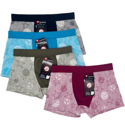China New Style Hot Selling High Quality Boys Boxer Underpants Comfortable Fashion Boxer Briefs at Wholesale Price for sale