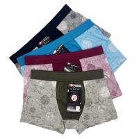 China New Style Hot Selling High Quality Boys Boxer Underpants Comfortable Fashion Boxer Briefs at Wholesale Price for sale