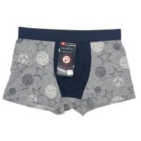 China New Style Hot Selling High Quality Boys Boxer Underpants Comfortable Fashion Boxer Briefs at Wholesale Price for sale