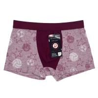 China New Style Hot Selling High Quality Boys Boxer Underpants Comfortable Fashion Boxer Briefs at Wholesale Price for sale