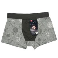 China New Style Hot Selling High Quality Boys Boxer Underpants Comfortable Fashion Boxer Briefs at Wholesale Price for sale