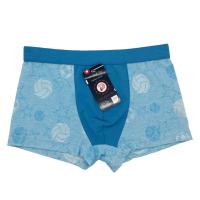 China New Style Hot Selling High Quality Boys Boxer Underpants Comfortable Fashion Boxer Briefs at Wholesale Price for sale