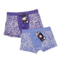 China Kids Boxer Briefs Best Price Boys' Youth Breathable Antibacterial Underwear Comfortable and Stylish for sale