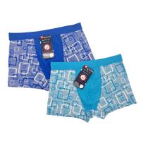 China Kids Boxer Briefs Best Price Boys' Youth Breathable Antibacterial Underwear Comfortable and Stylish for sale