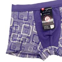China Kids Boxer Briefs Best Price Boys' Youth Breathable Antibacterial Underwear Comfortable and Stylish for sale