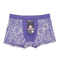 China Kids Boxer Briefs Best Price Boys' Youth Breathable Antibacterial Underwear Comfortable and Stylish for sale