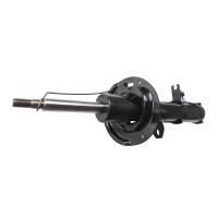 China Front Car Suspension Strut Vehicle Shock Absorbers Assembly For BYD Seagull 2023-2025 for sale