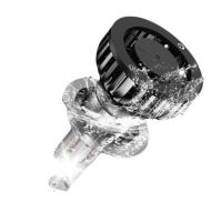 China Full Coverage Automotive LED Bulbs Replacement For BYD Seagull Cars for sale