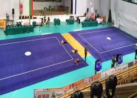 China IWUF Competition Taolu Carpet Gymnastics Training Mats For Wushu Training for sale