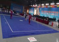 China IWUF Competition Taolu Carpet Gymnastics Training Mats For Wushu Training for sale