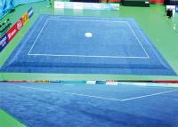 China IWUF Competition Taolu Carpet Gymnastics Training Mats For Wushu Training for sale