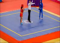 China Durable Wushu Platform Gymnastics Training Mats Competition Sanda Mat for sale