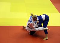 China High Density Bjj Colourful Jujitsu Martial Arts Competition And Training Judo Mats for sale