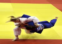 China High Density Bjj Colourful Jujitsu Martial Arts Competition And Training Judo Mats for sale