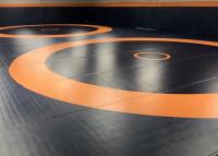 China Tatami Vinyl  25mm Roll Up MMA Judo Tatami Mat for sale